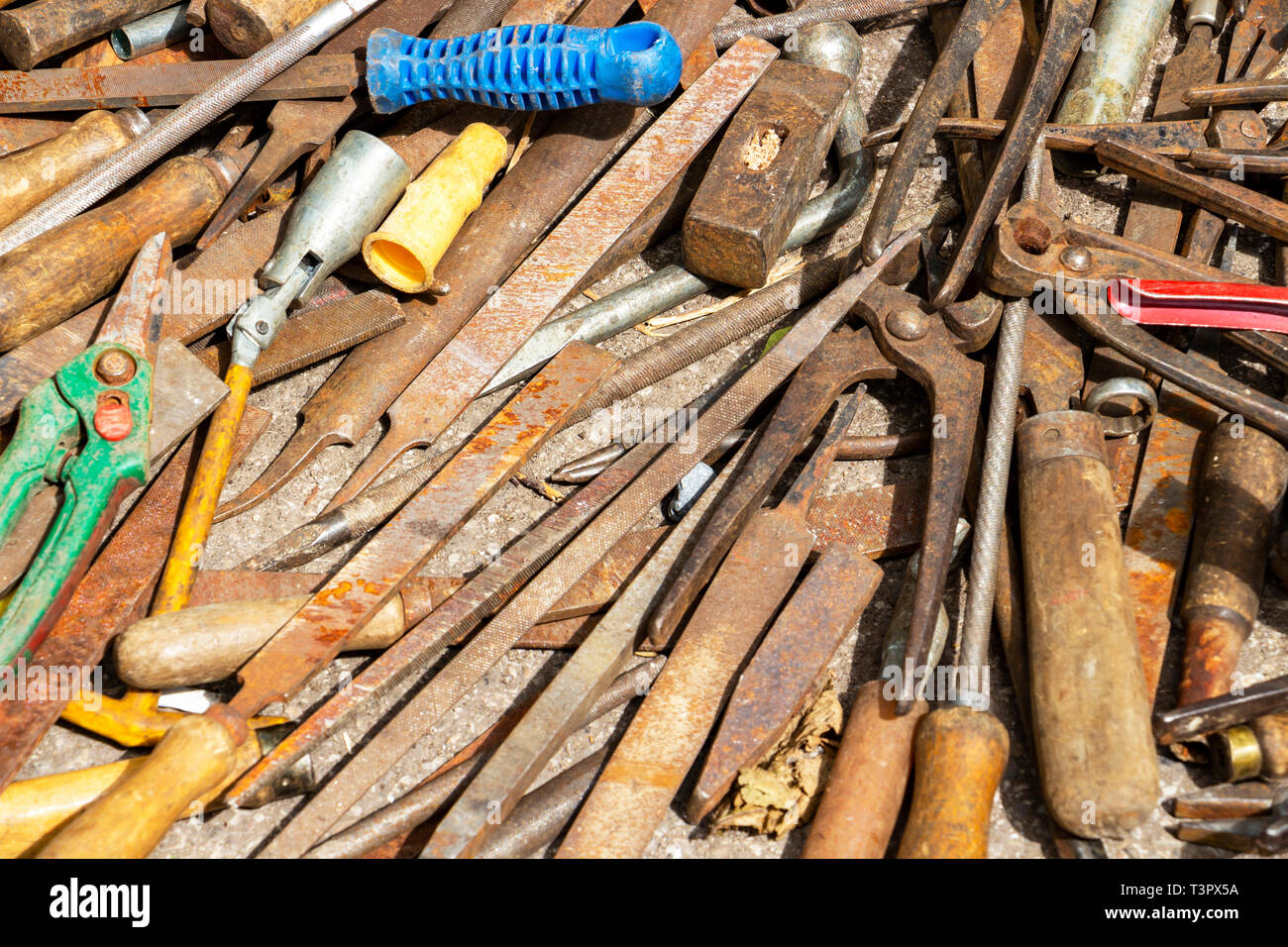 Pruning Knife High Resolution Stock Photography and Images - Alamy