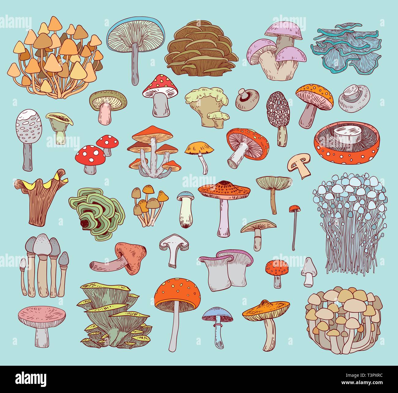 mushrooms set icons, vector illustration Stock Vector Image & Art - Alamy