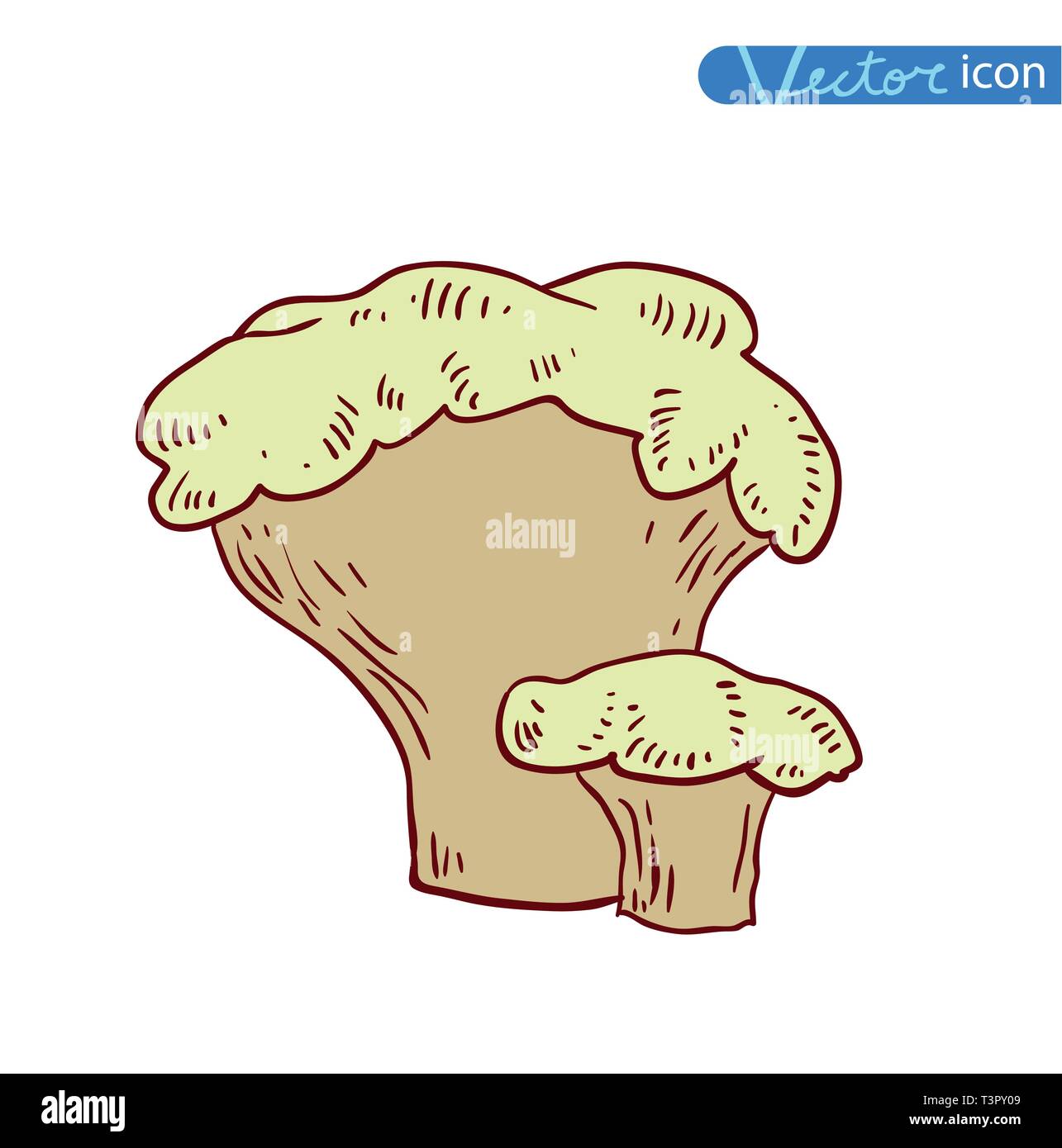 mushrooms set icons, vector illustration Stock Vector Image & Art - Alamy