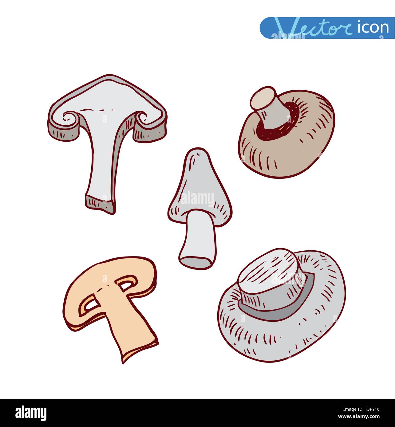mushrooms set icons, vector illustration Stock Vector Image & Art - Alamy