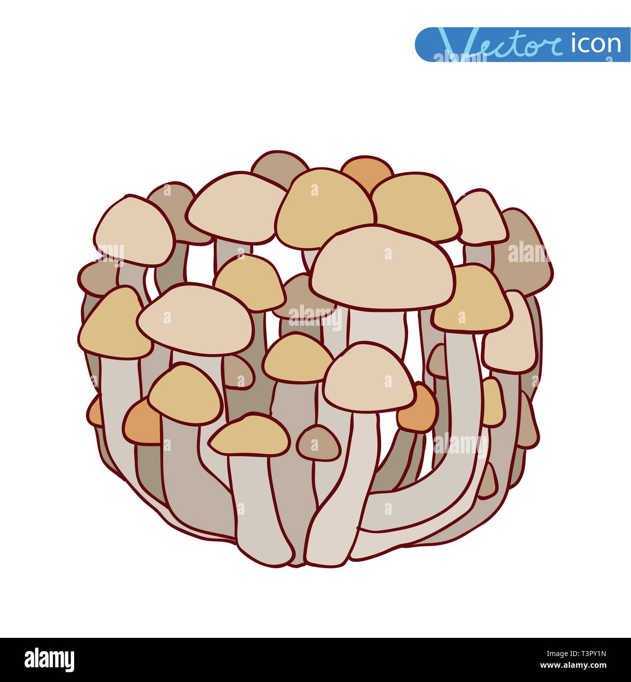 mushrooms set icons, vector illustration Stock Vector Image & Art - Alamy
