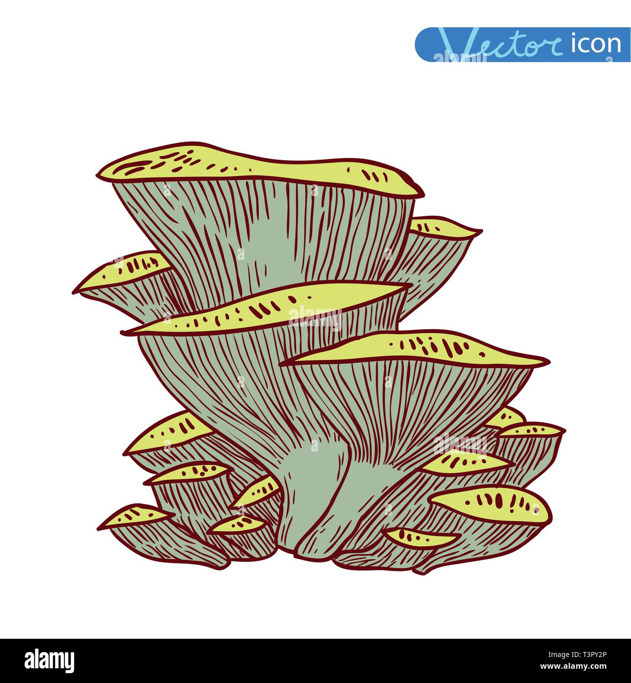 mushrooms set icons, vector illustration Stock Vector Image & Art - Alamy