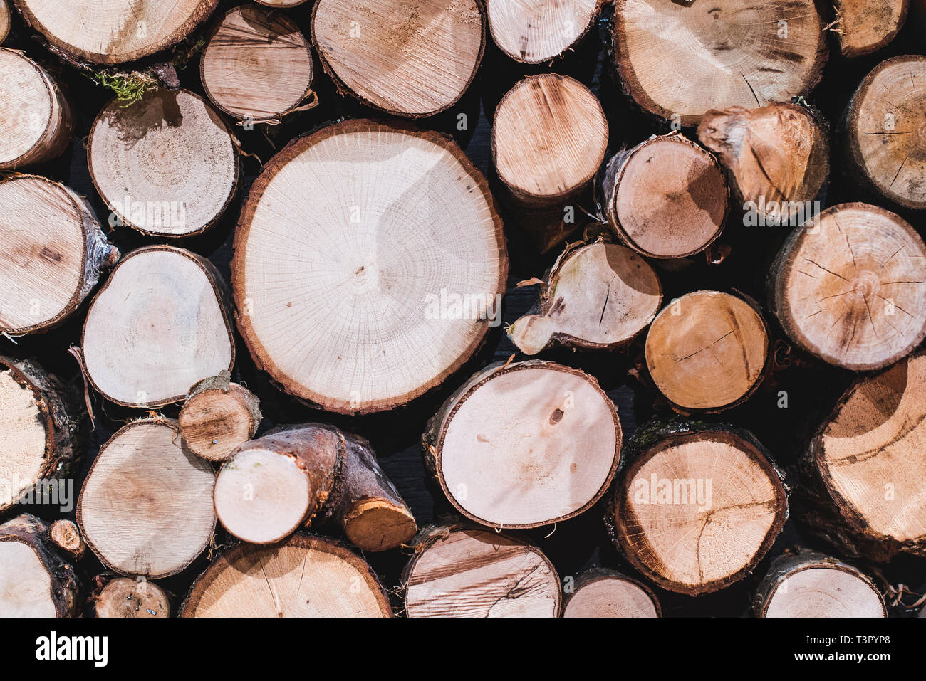 Chopped logs hi-res stock photography and images - Alamy