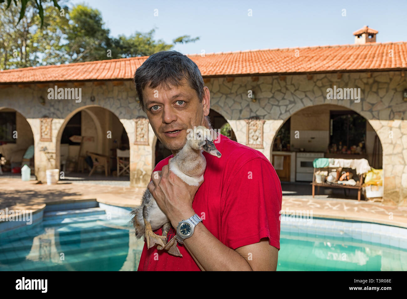 Man with young duck in his arms Stock Photo - Alamy