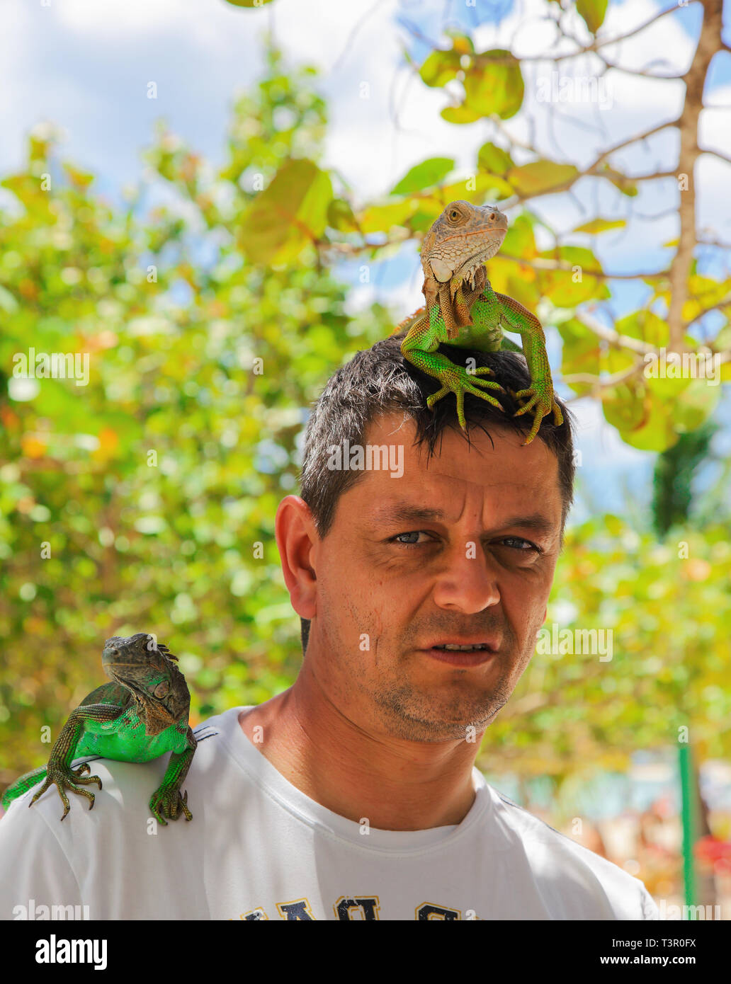 Lizard on his shoulder hi-res stock photography and images - Alamy