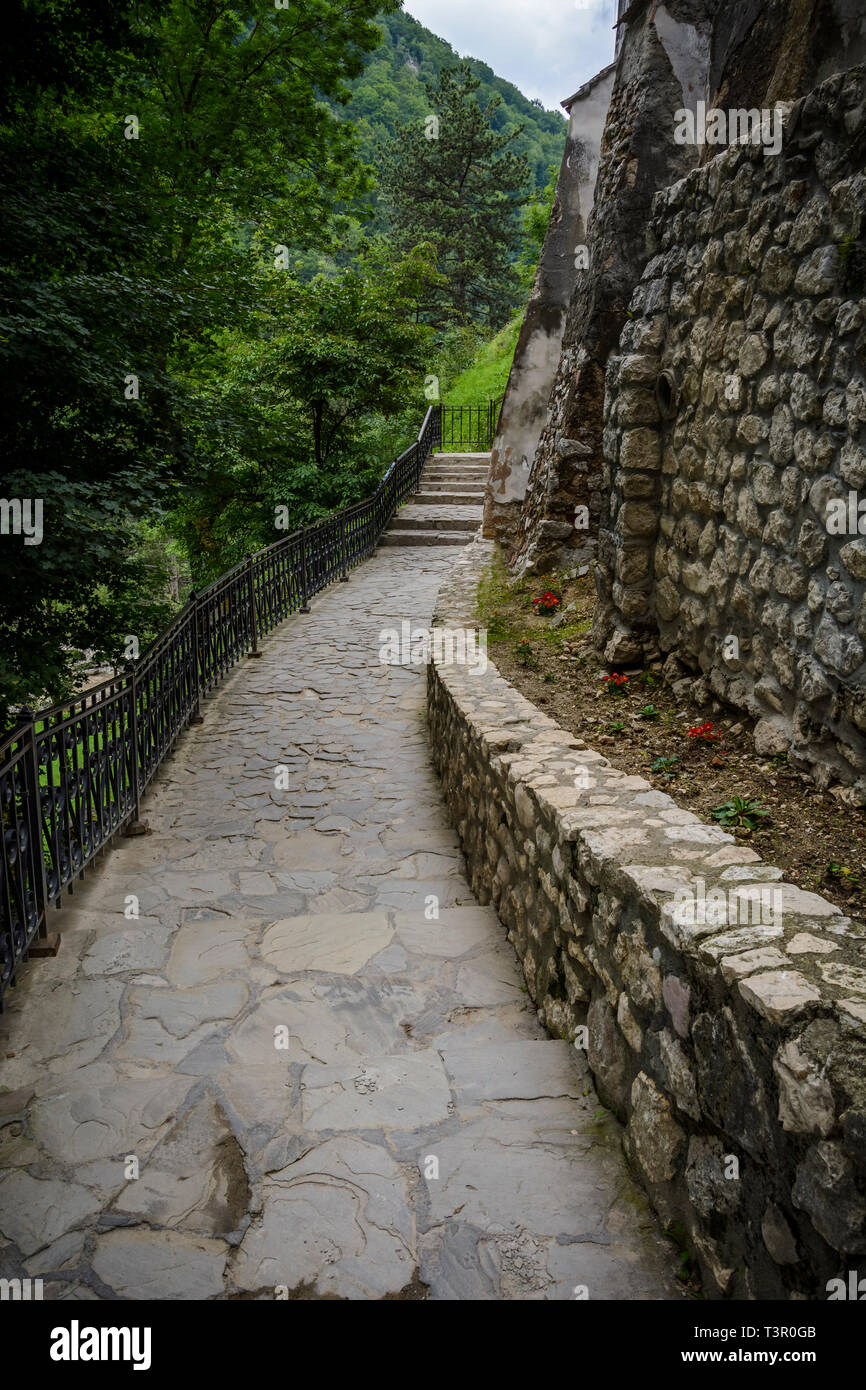 curved pathway, iron fences and stone wall in the middle of a forest ...