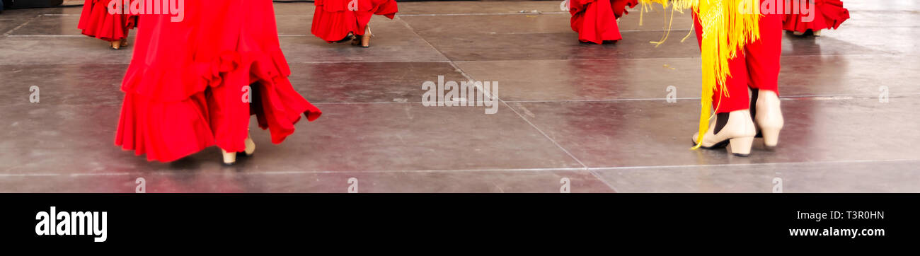 closeup of a typical shoes to the traditional Spanish flamenco dance ...