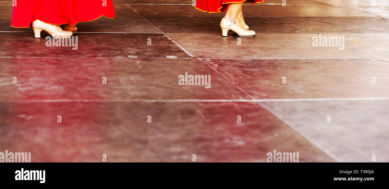 closeup of a typical shoes to the traditional Spanish flamenco dance ...