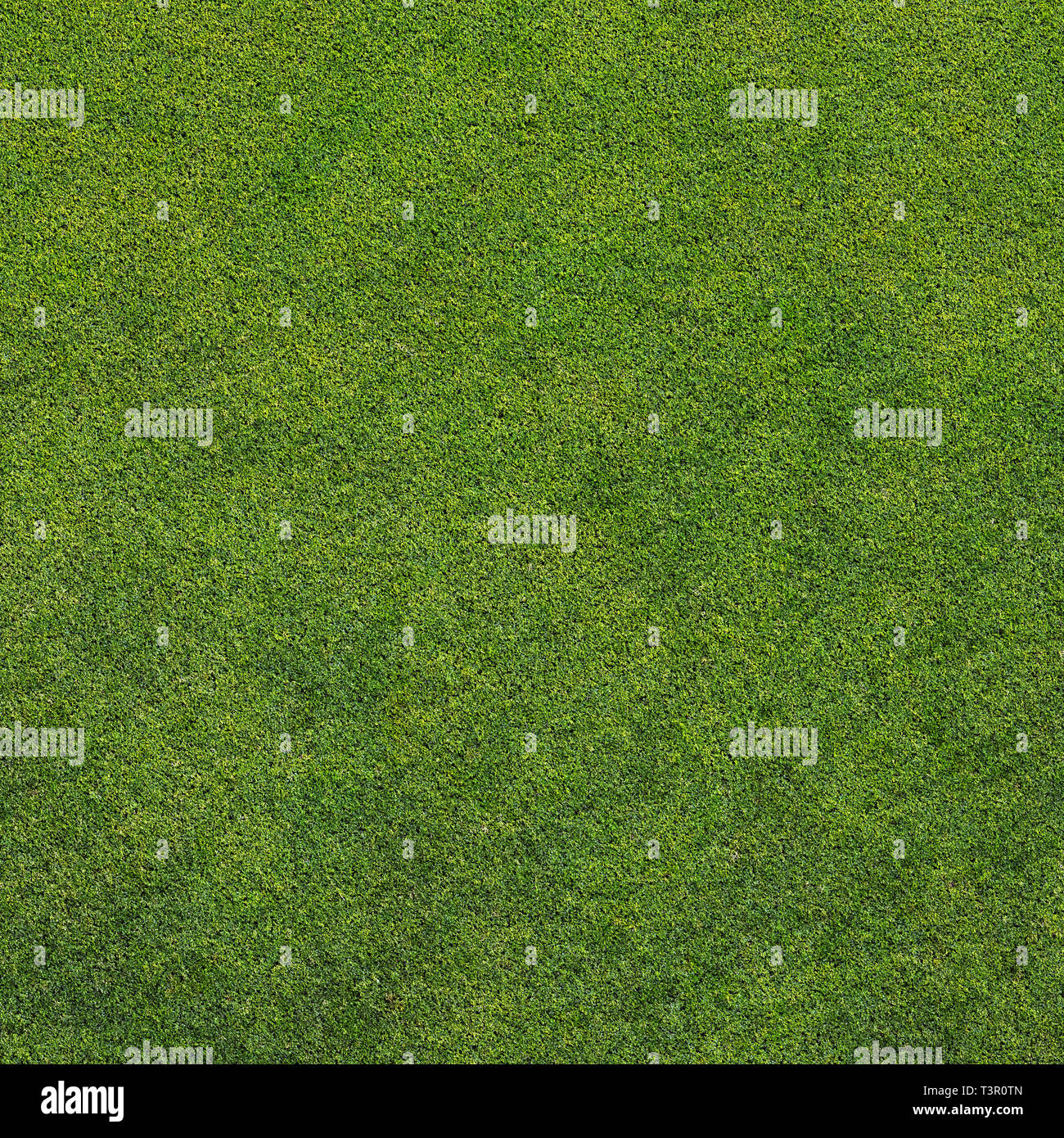 grass texture background Stock Photo - Alamy