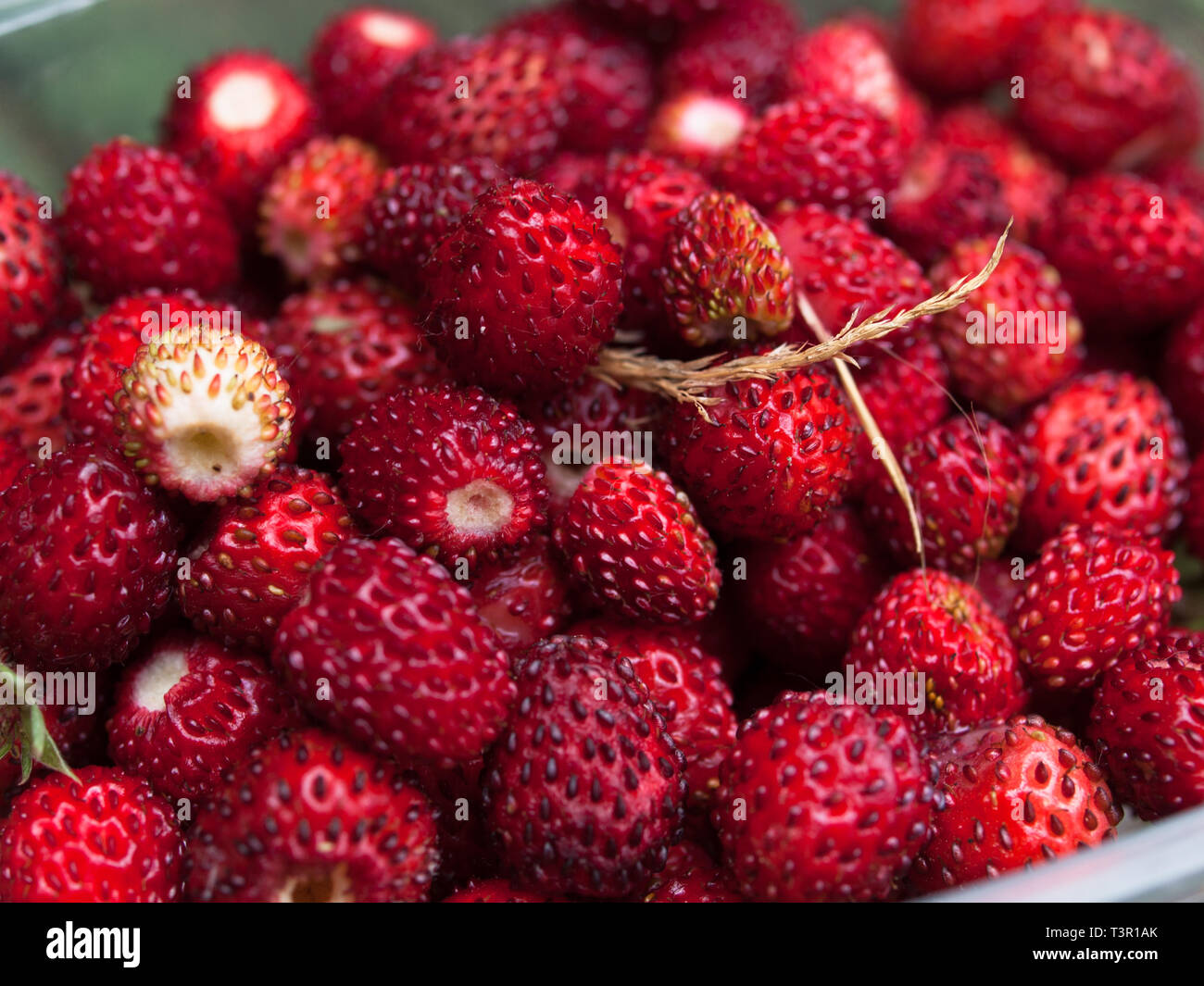 Summer mix hi-res stock photography and images - Alamy