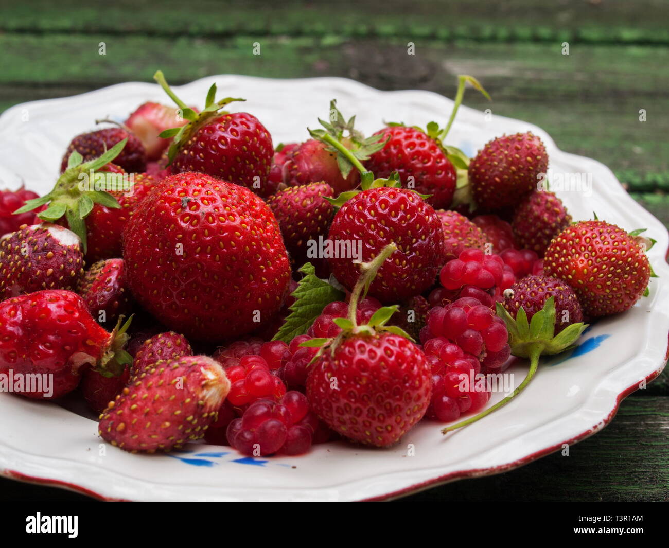 Summer mix hi-res stock photography and images - Alamy