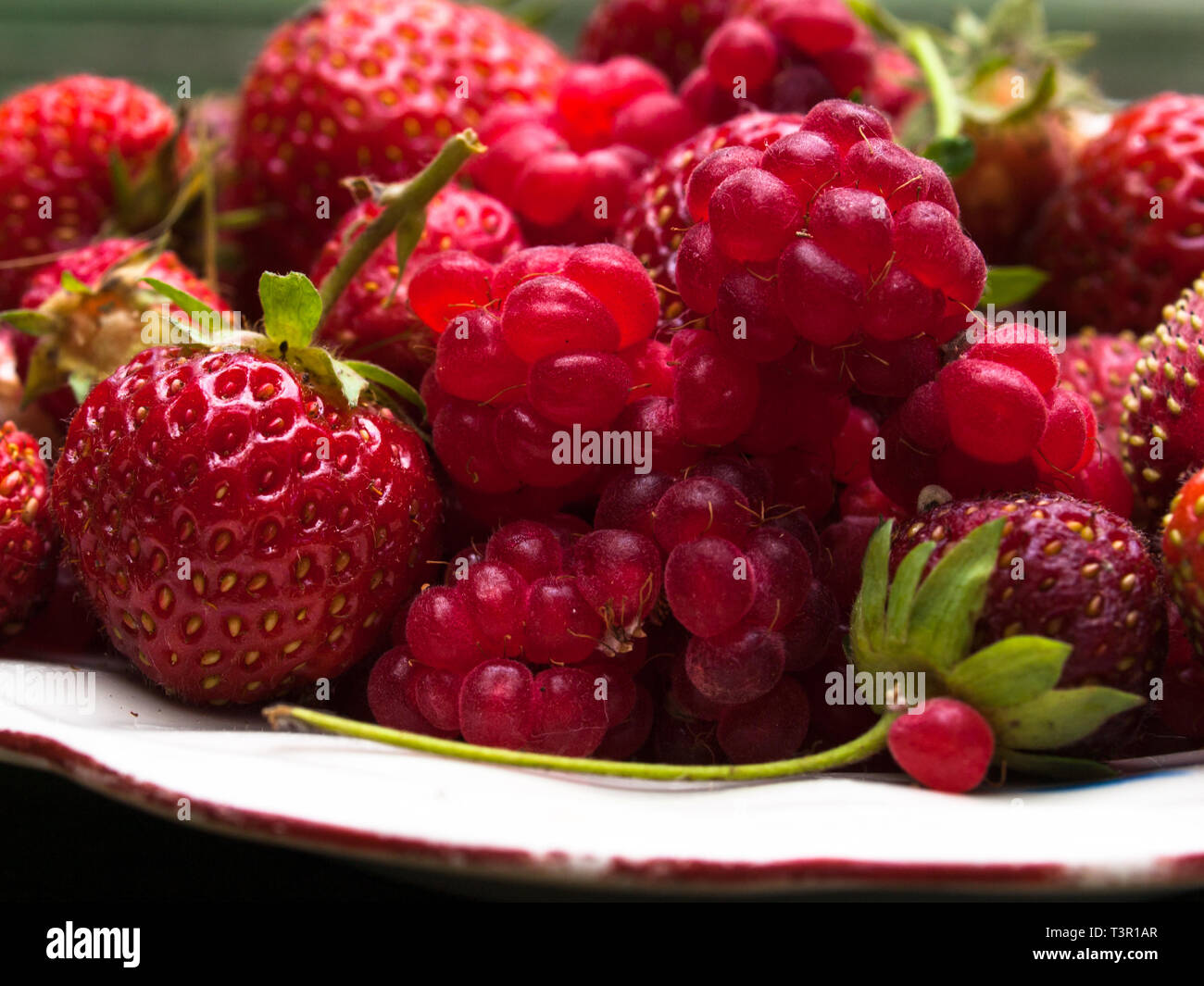 Summer mix hi-res stock photography and images - Alamy