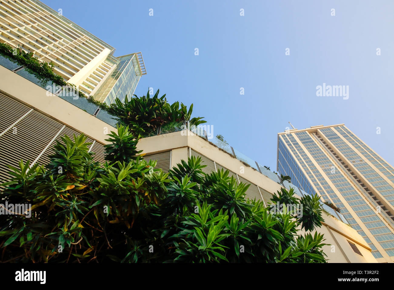 High ridge buildings in Colombo city, Srilanka Stock Photo - Alamy
