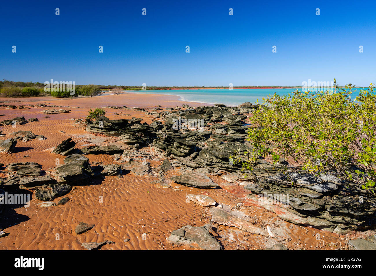Roebuck bay hi-res stock photography and images - Alamy