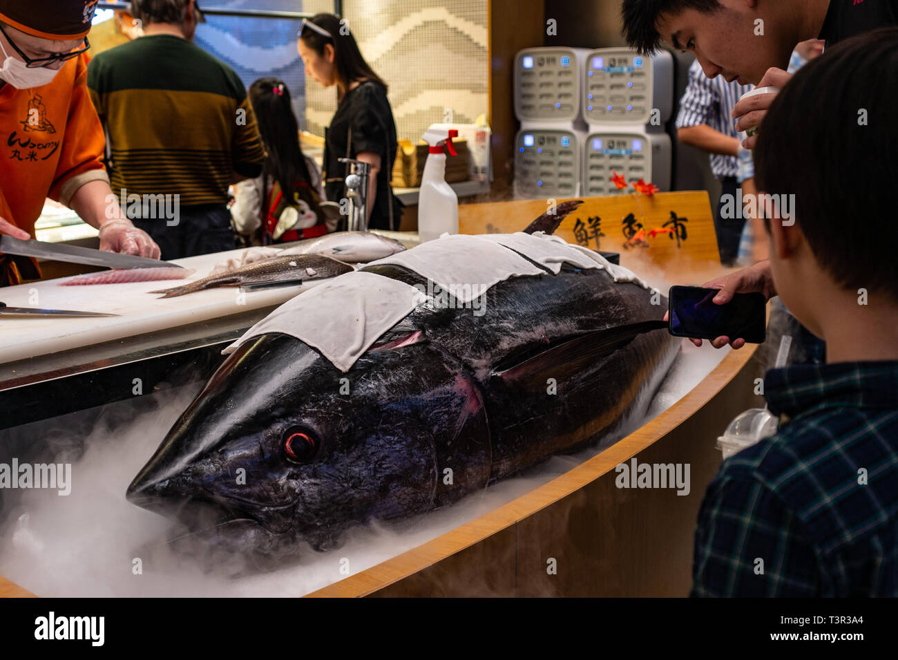 bluefin tuna at sushi restaurant Stock Photo - Alamy