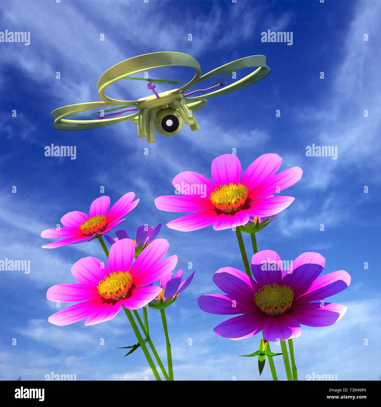 Drone video flower field aerial hi-res stock photography and images - Alamy