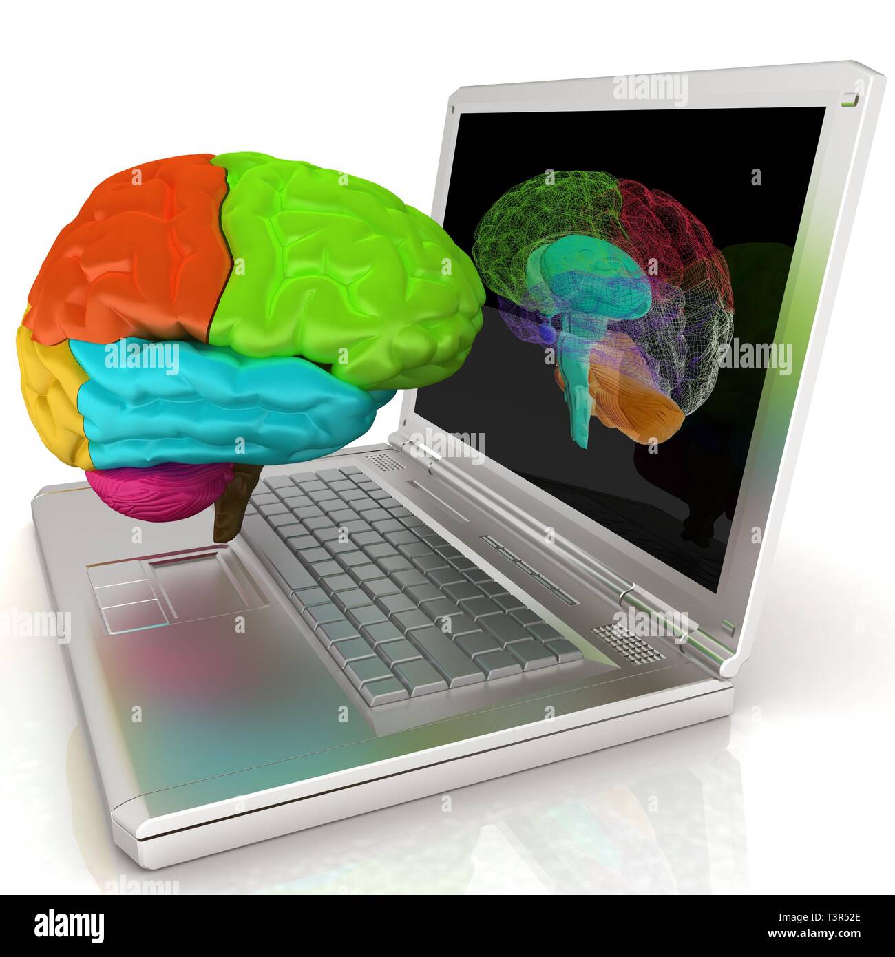 Real brain hand hi-res stock photography and images - Alamy