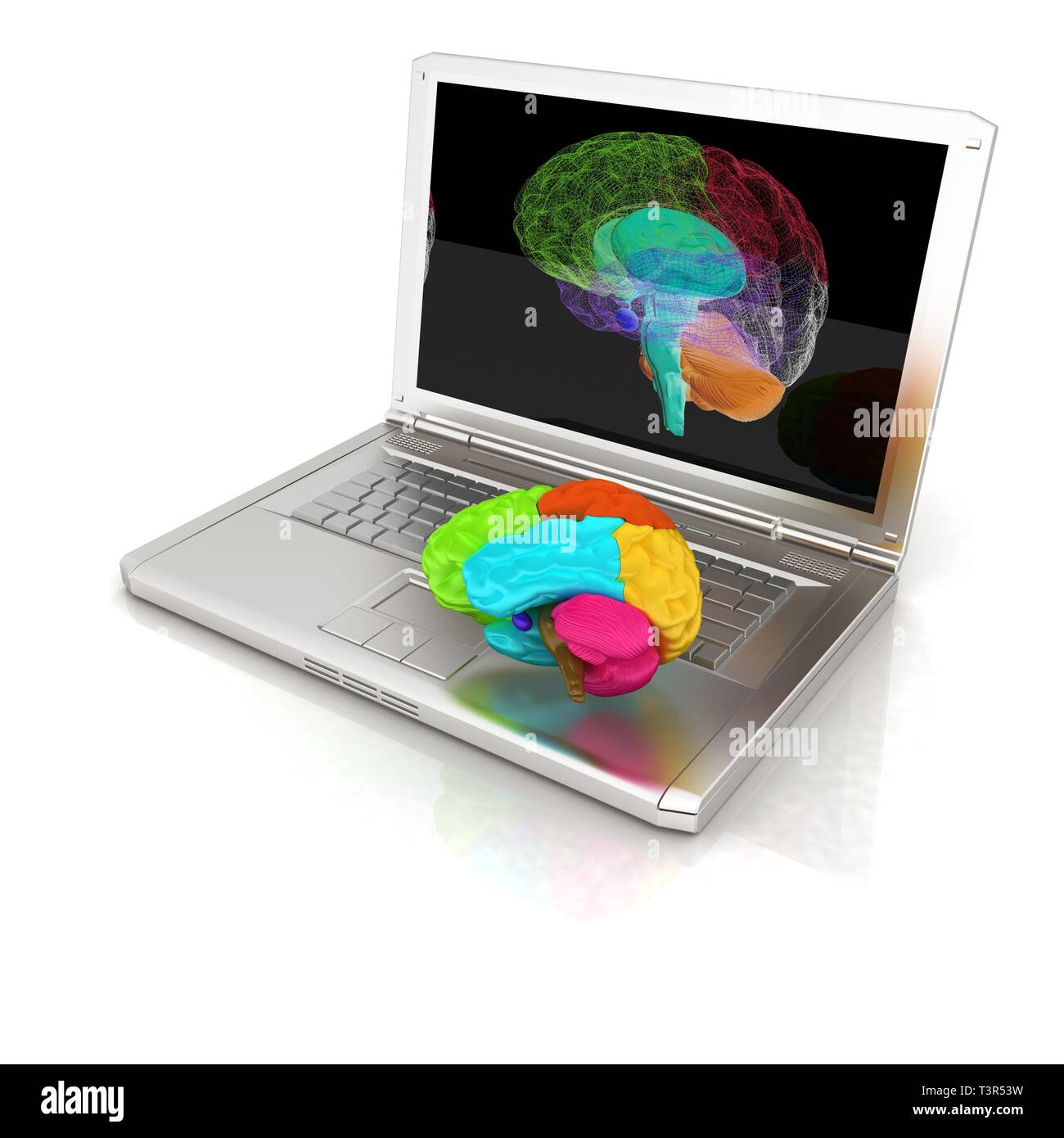 Real laboratory Cut Out Stock Images & Pictures - Alamy