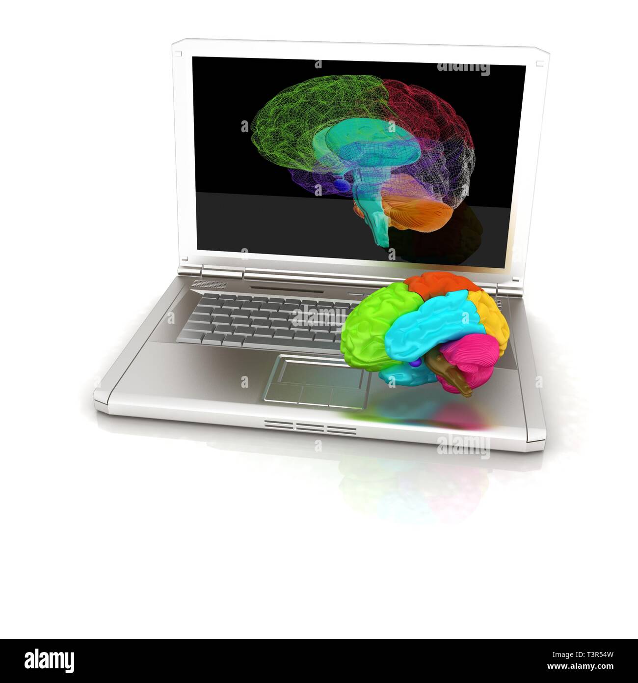 creative three-dimensional model of real human brain and scan on a ...