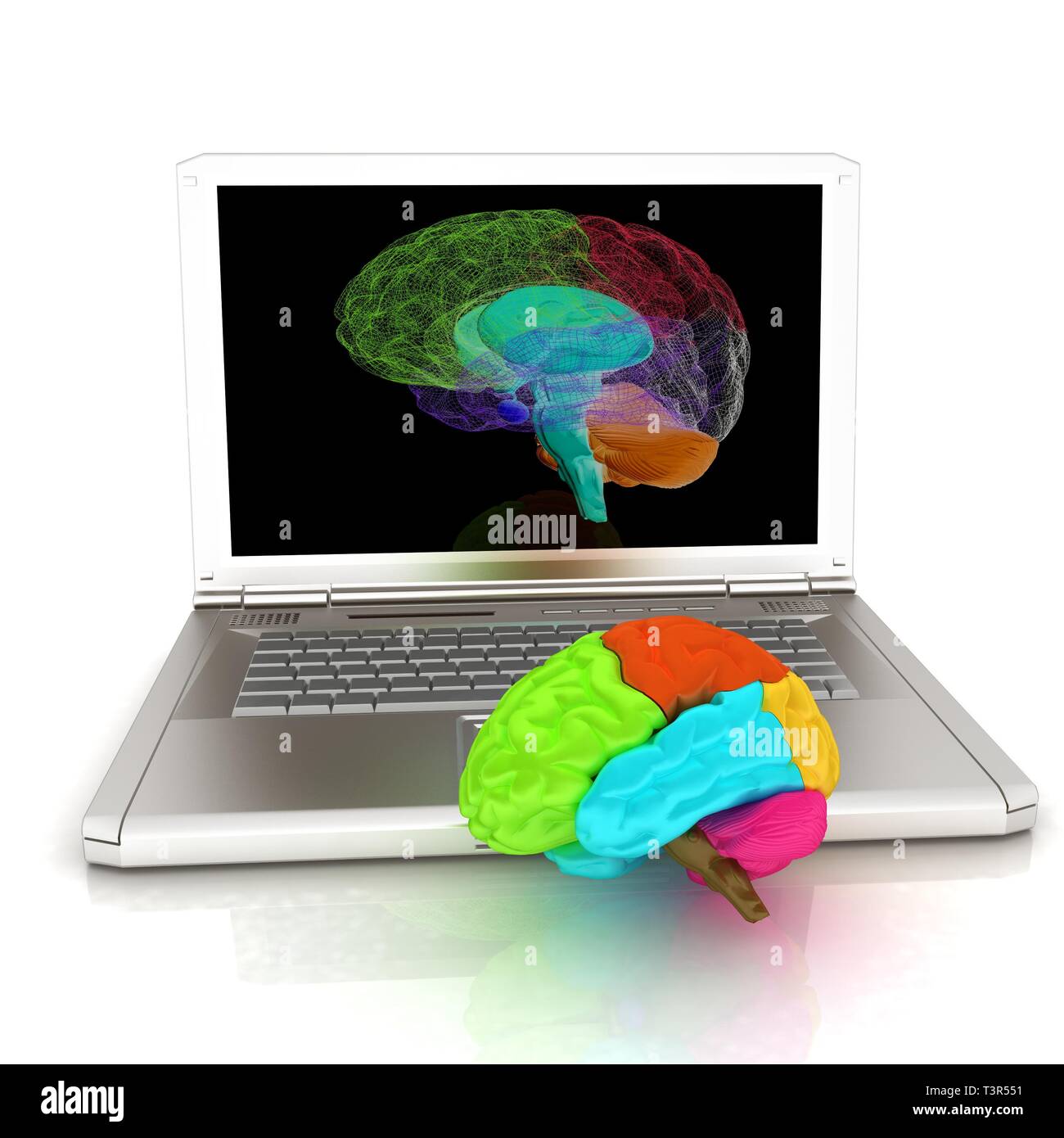 creative three-dimensional model of real human brain and scan on a ...