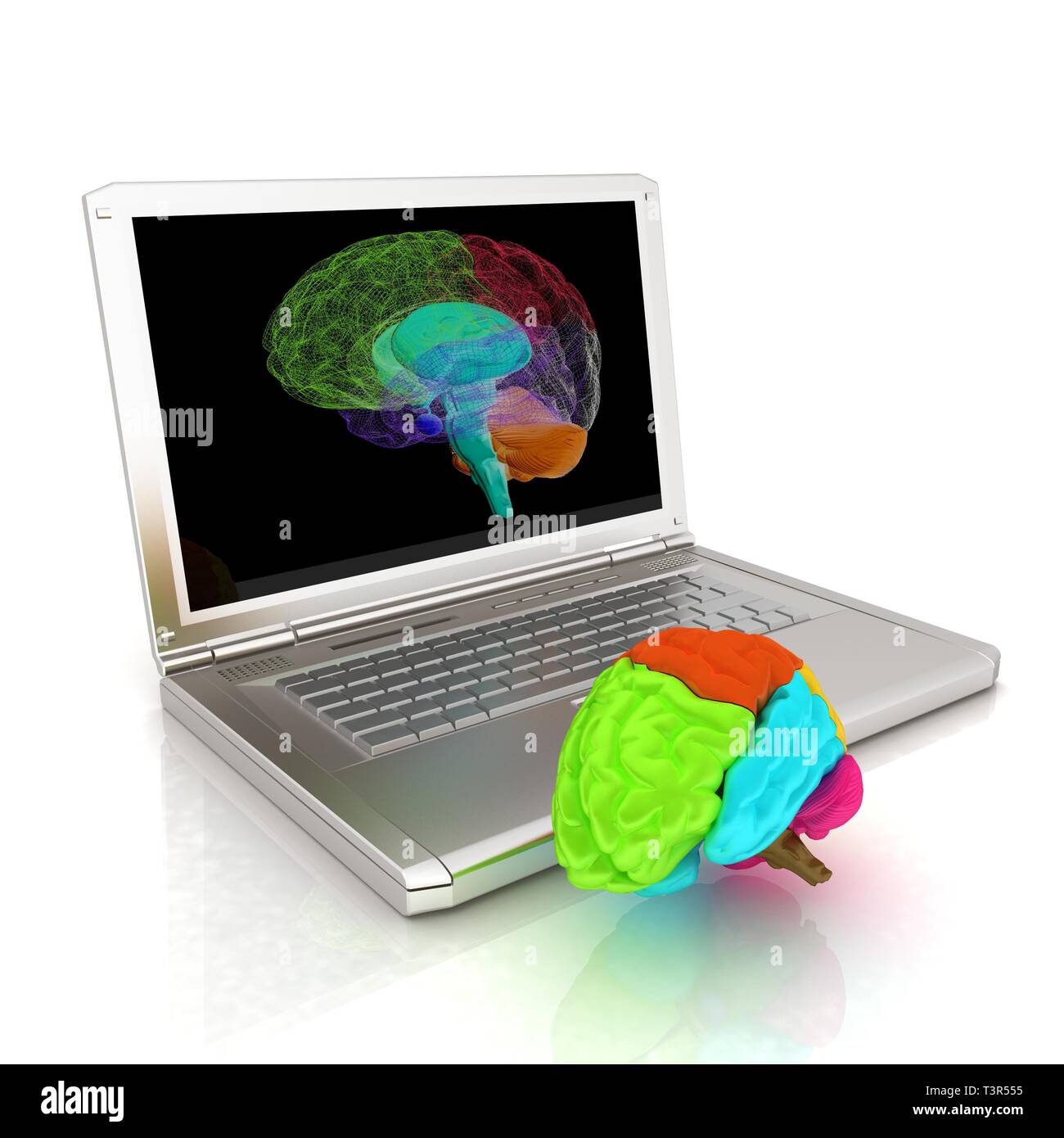 creative three-dimensional model of real human brain and scan on a ...