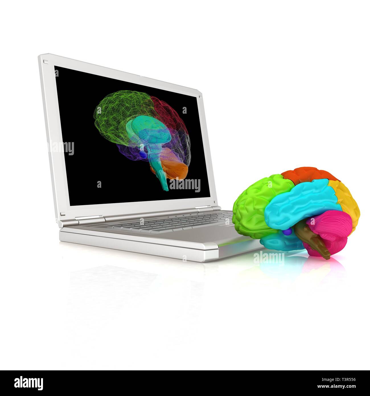 creative three-dimensional model of real human brain and scan on a ...