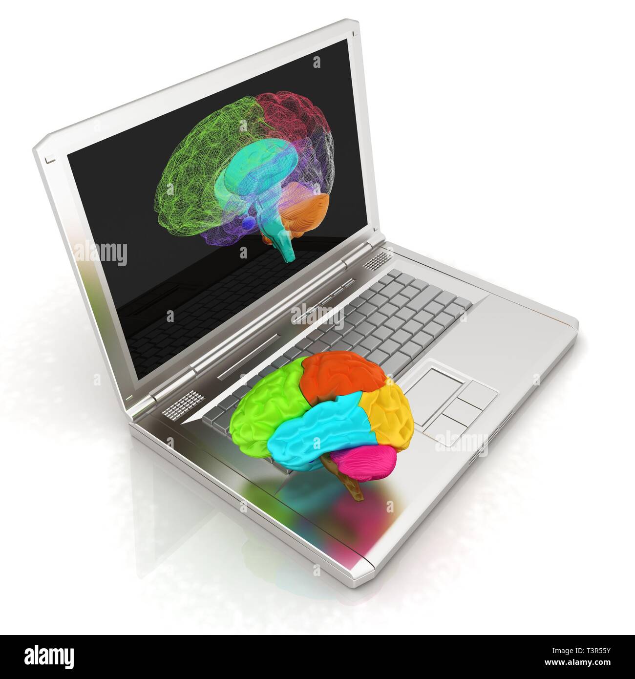 creative three-dimensional model of real human brain and scan on a ...
