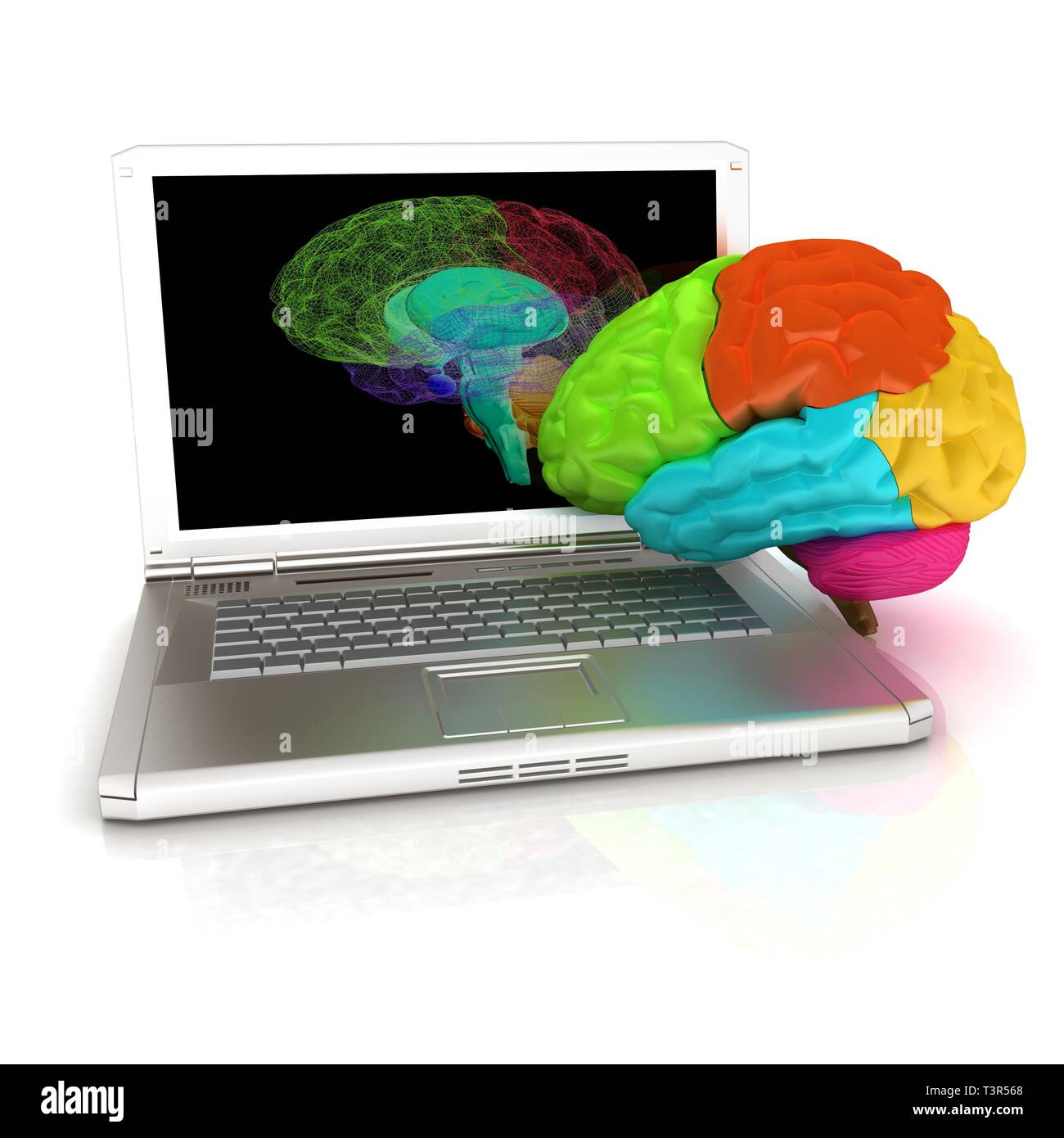 creative three-dimensional model of real human brain and scan on a ...
