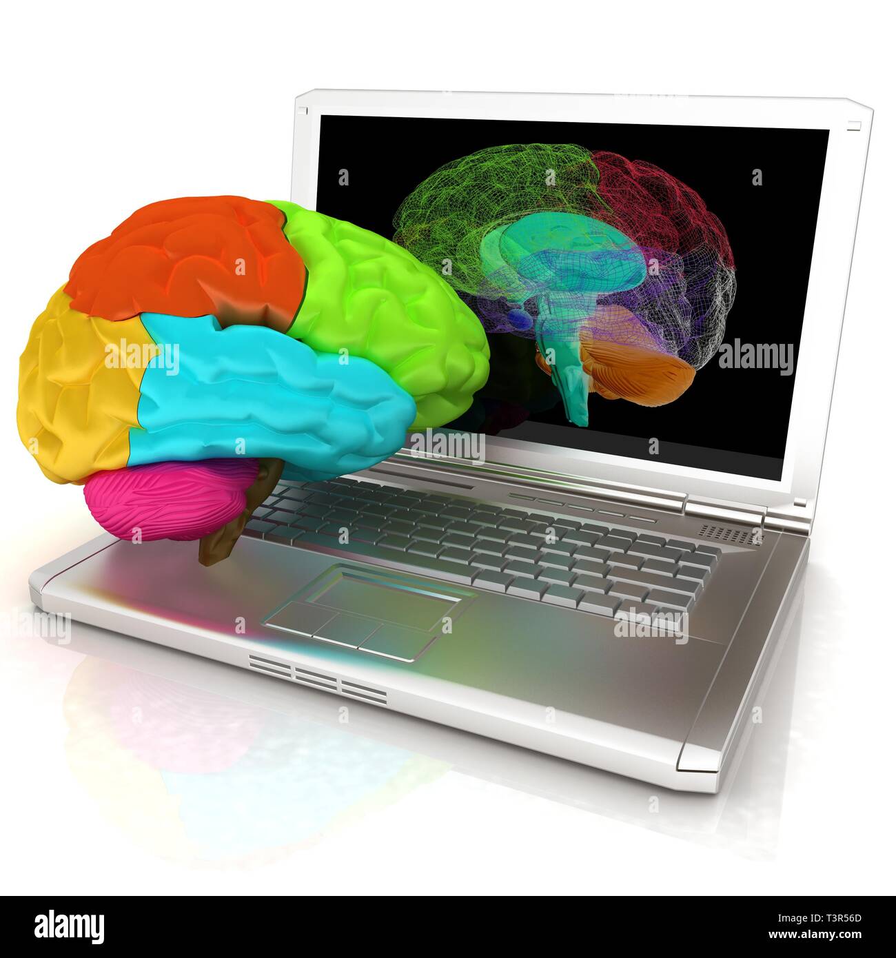 Real brain hand hi-res stock photography and images - Alamy