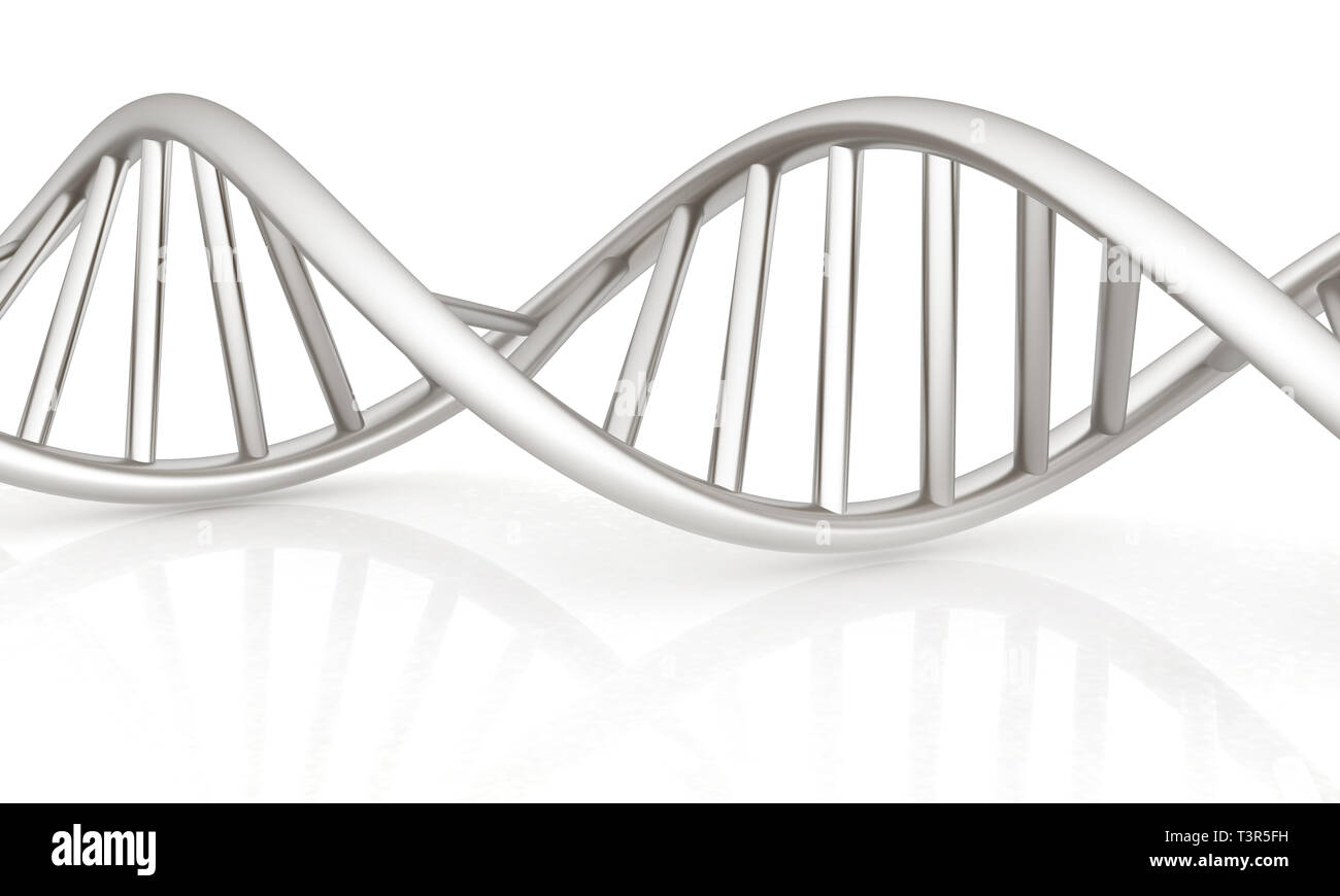 DNA structure model. 3d illustration Stock Photo - Alamy