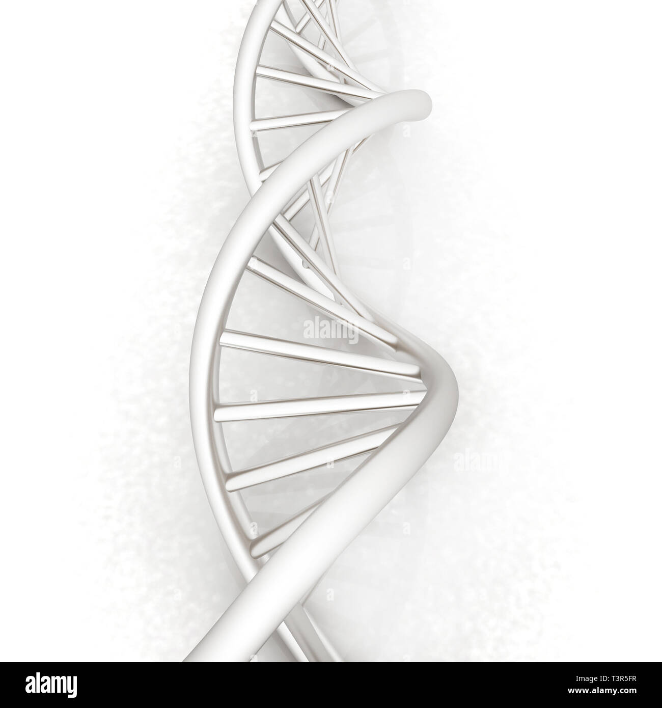 DNA structure model. 3d illustration Stock Photo - Alamy