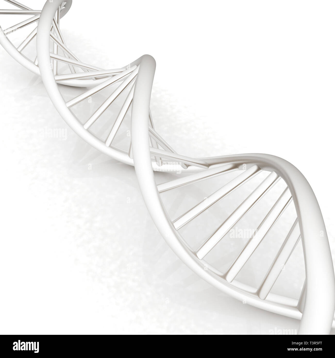 DNA structure model. 3d illustration Stock Photo - Alamy