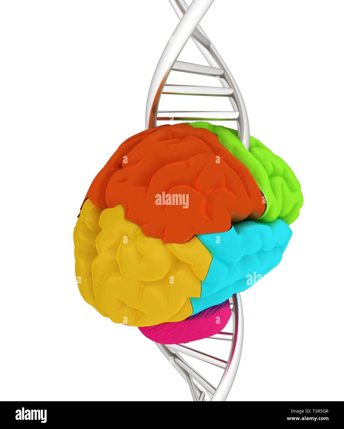 Brain and dna. 3d illustration Stock Photo - Alamy
