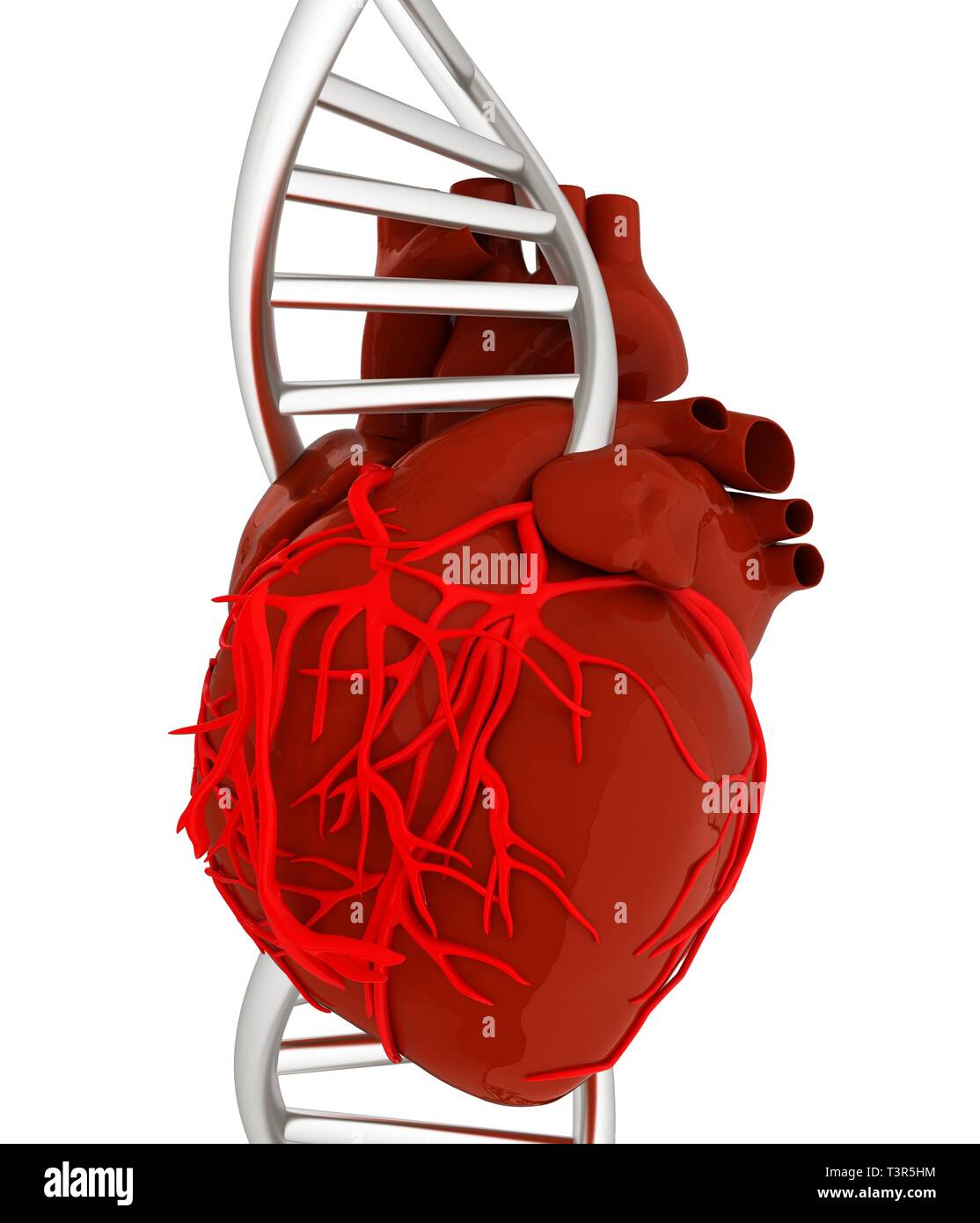 Dna strand and human heart hi-res stock photography and images - Alamy