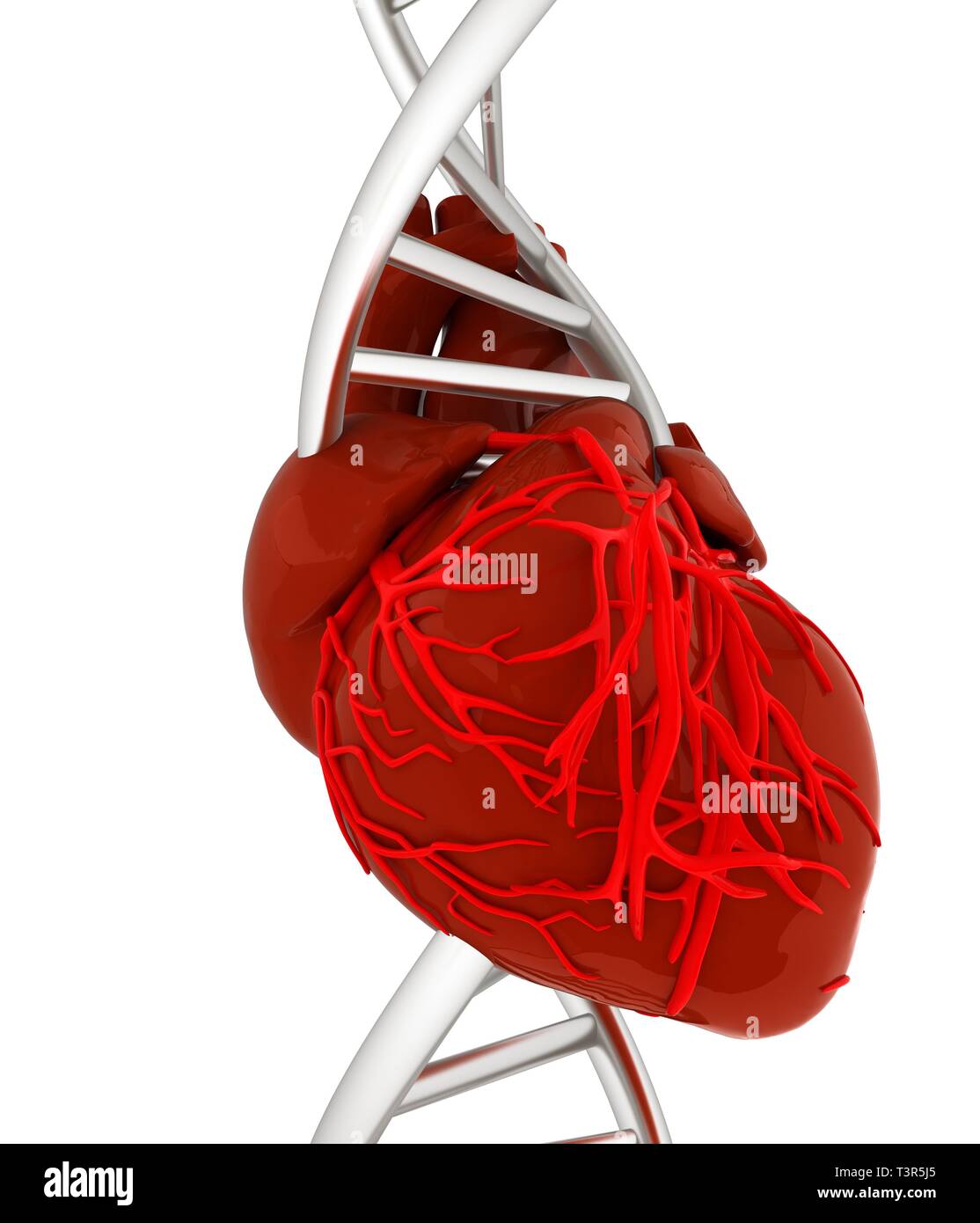 Dna strand and human heart hi-res stock photography and images - Alamy