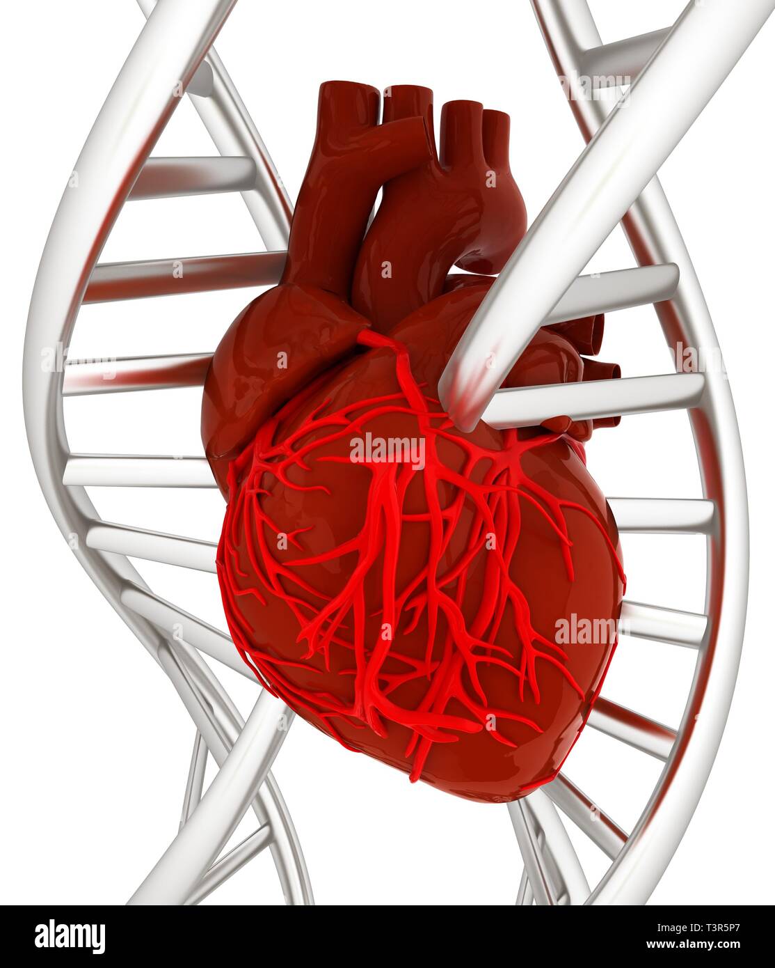 Dna strand and human heart hi-res stock photography and images - Alamy