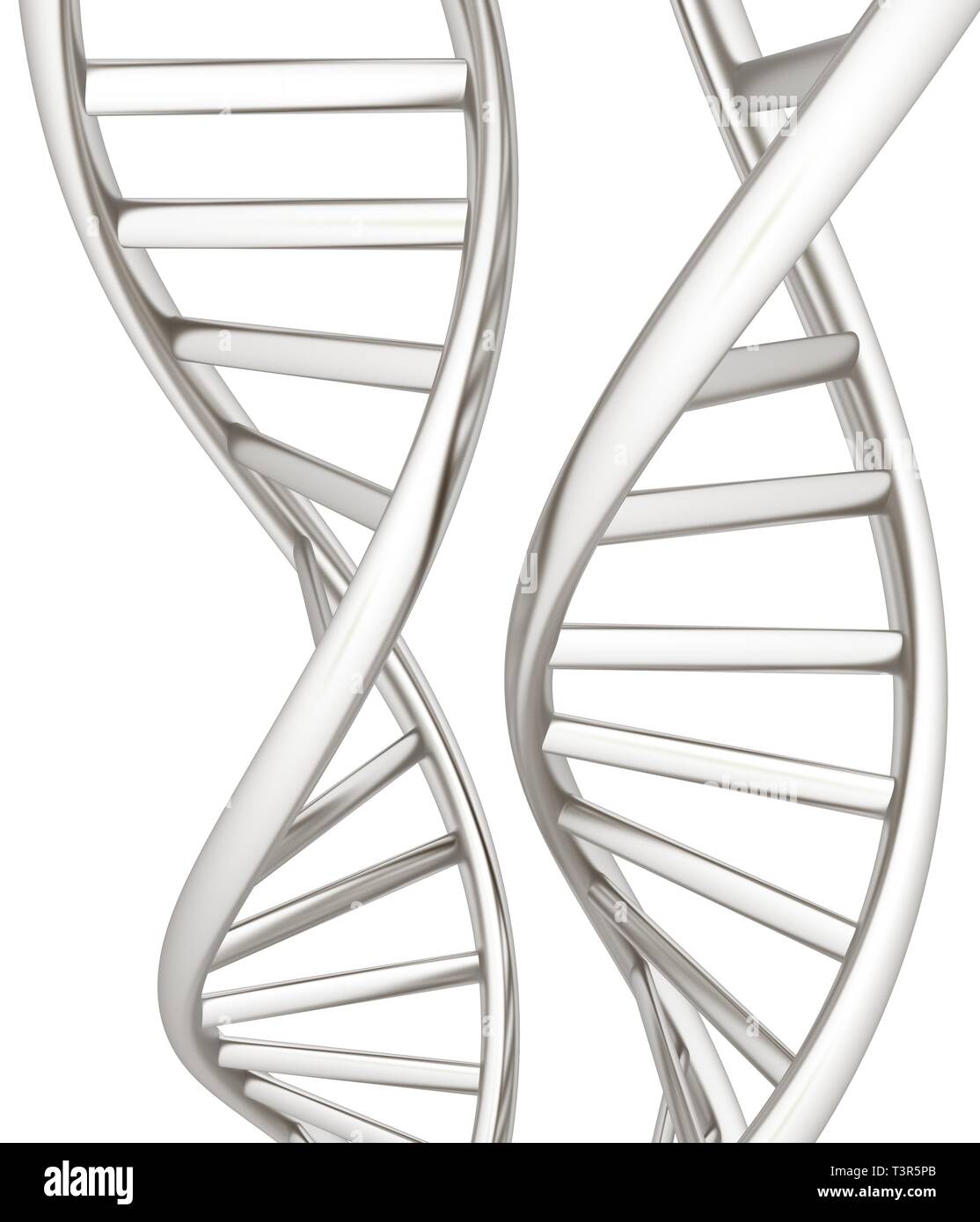 DNA structure model. 3d illustration Stock Photo - Alamy