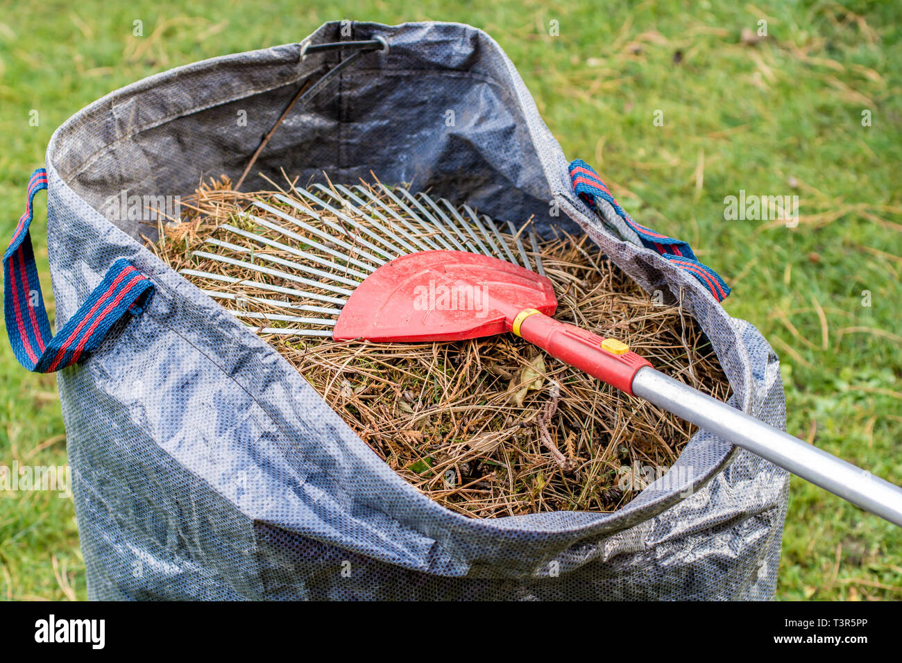 Sweeping lawn hi-res stock photography and images - Alamy
