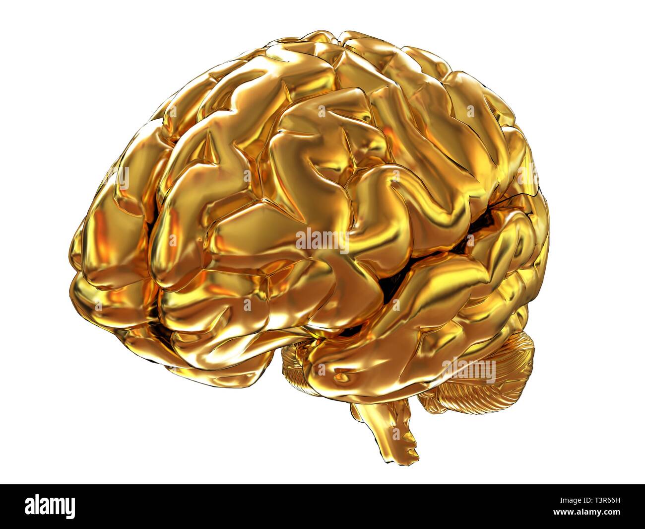 Human brain art gold Cut Out Stock Images & Pictures - Alamy