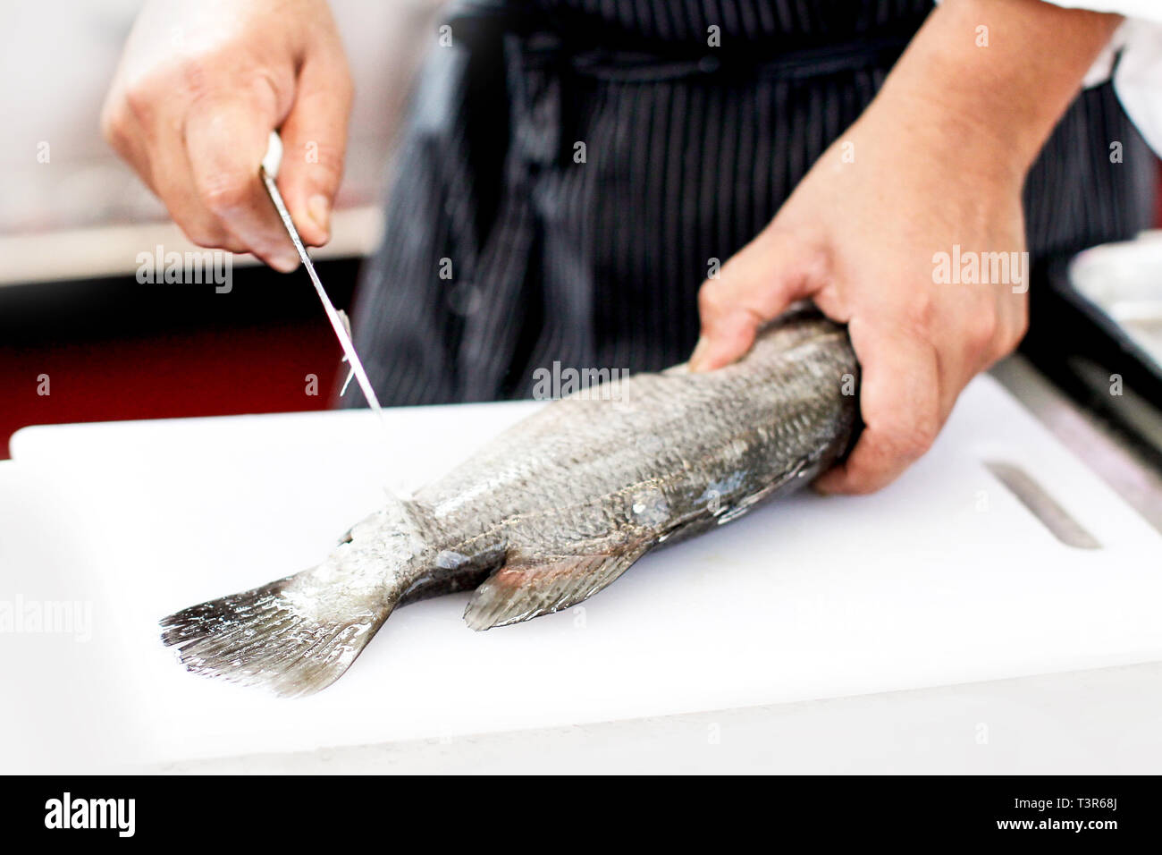 Filleting fish knife kitchen hi-res stock photography and images - Alamy