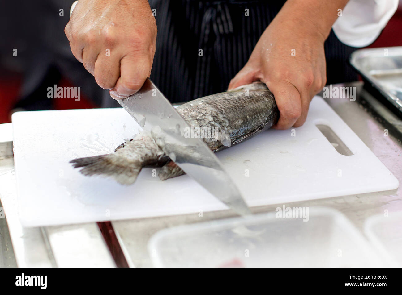 chef at work, chef filleting fish at the kitchen, Chef in restaurant ...