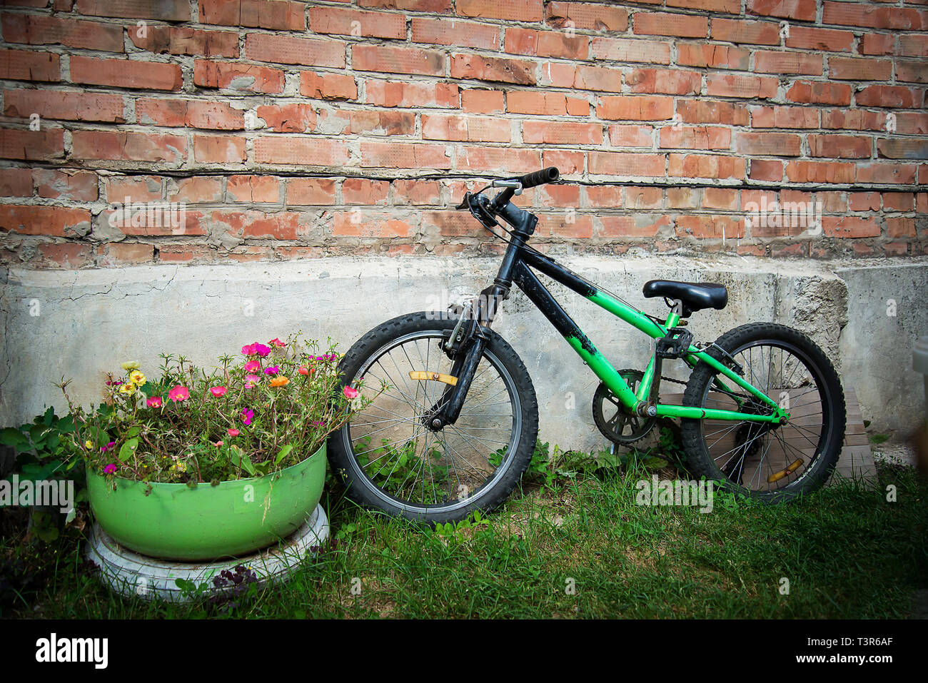 Old green bicycle hi-res stock photography and images - Alamy