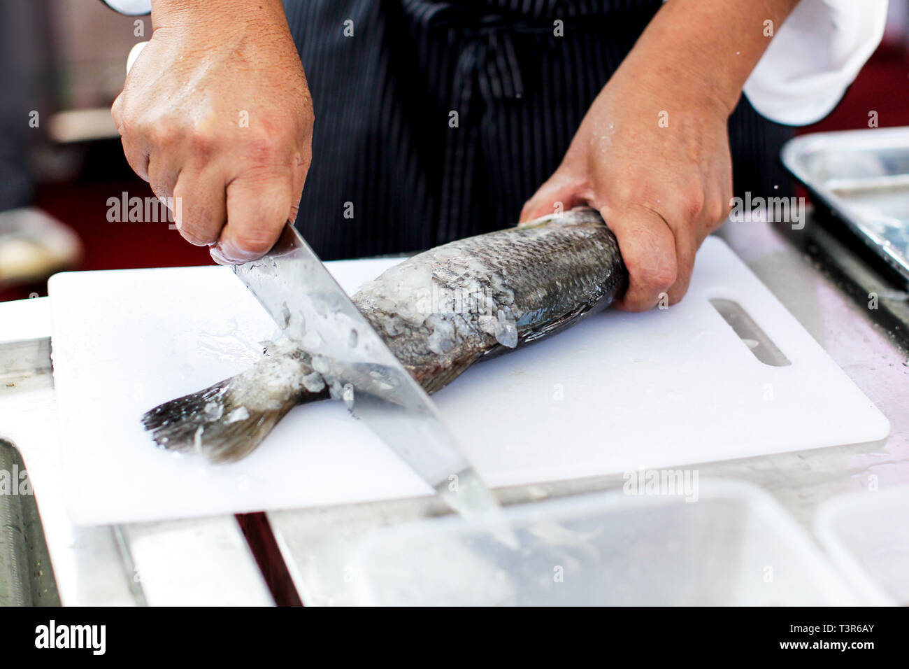 chef at work, chef filleting fish at the kitchen, Chef in restaurant ...