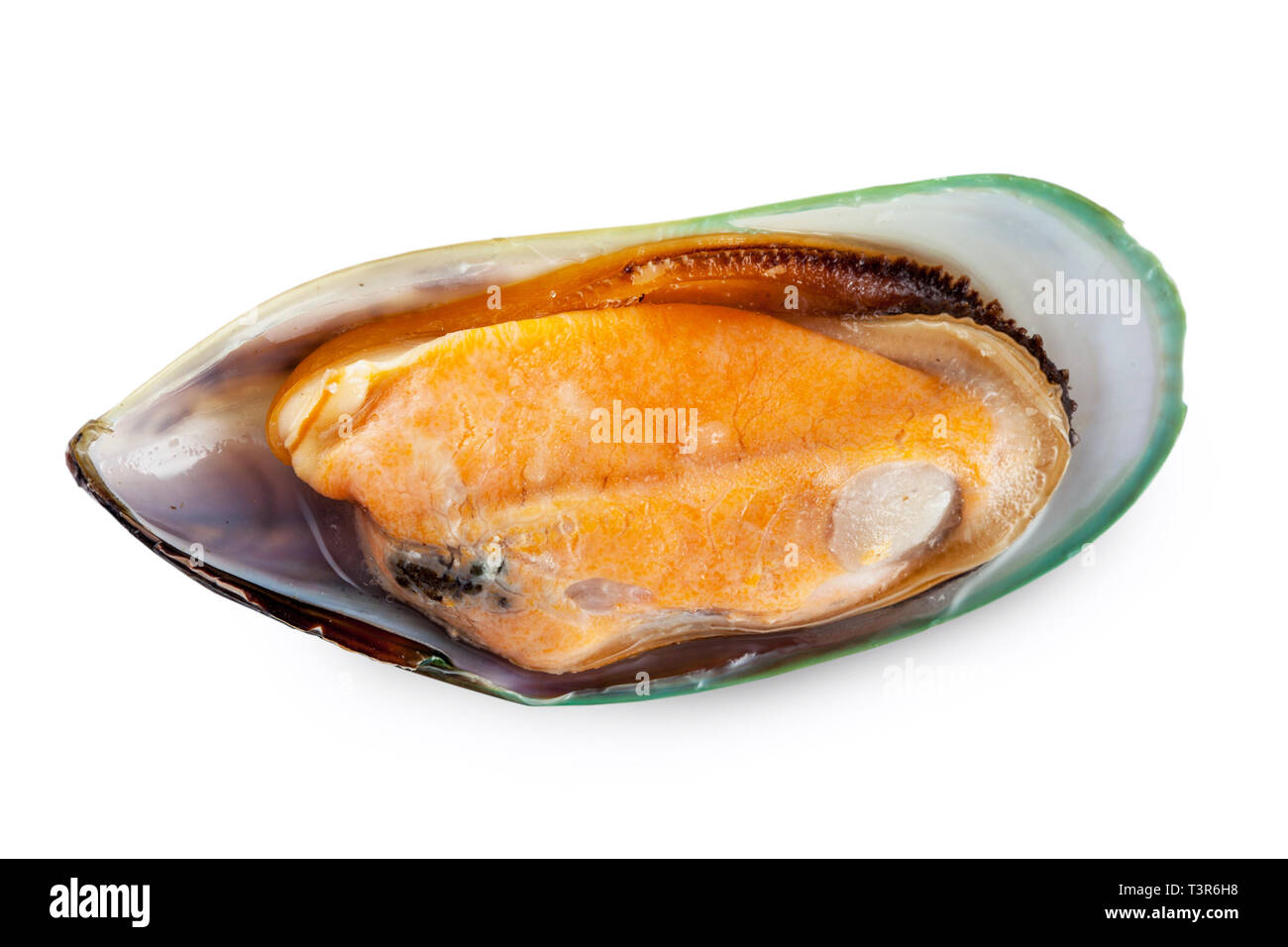 Mussels boiled on a white background Stock Photo - Alamy