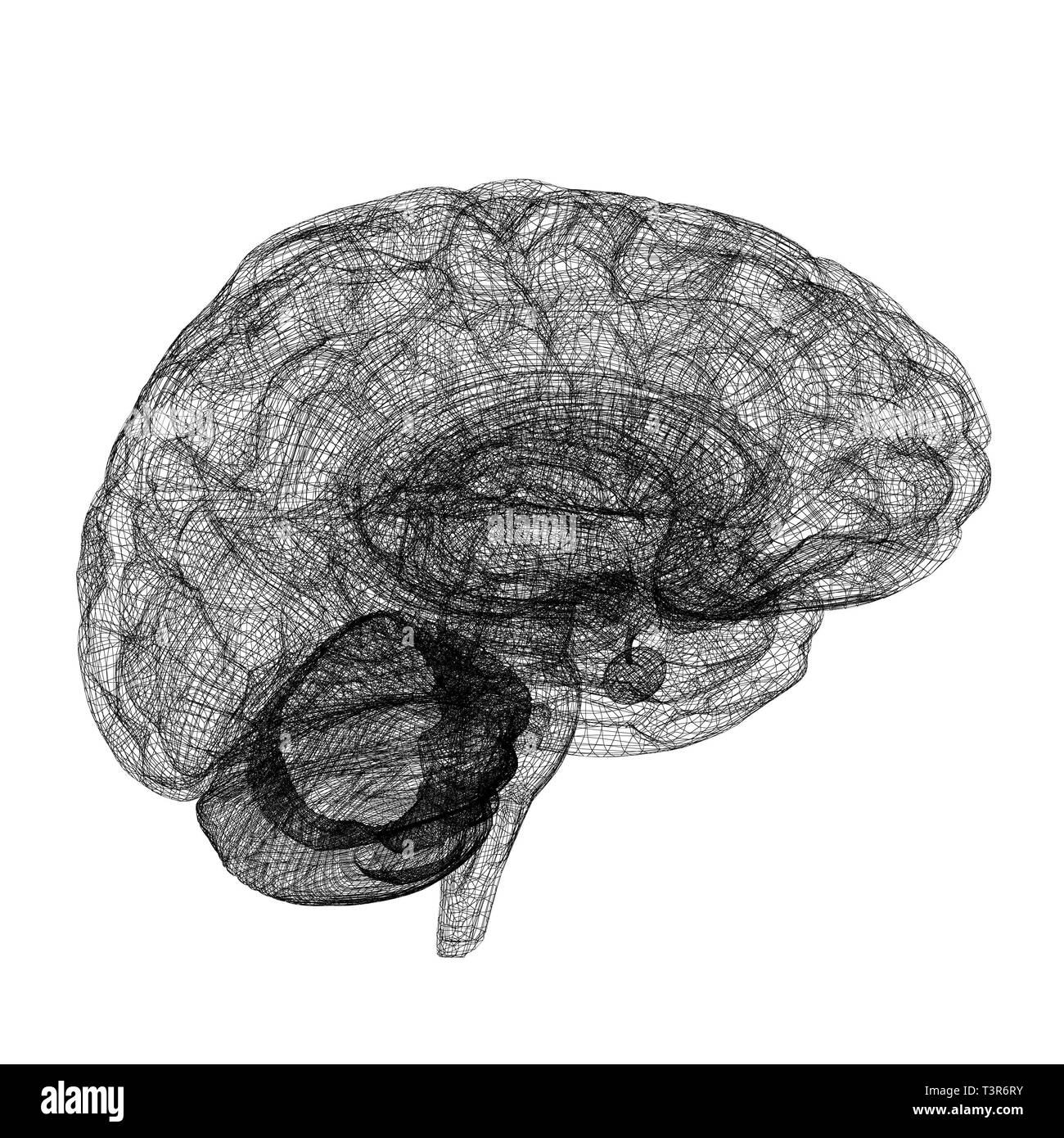 Creative concept of the human brain Stock Photo - Alamy