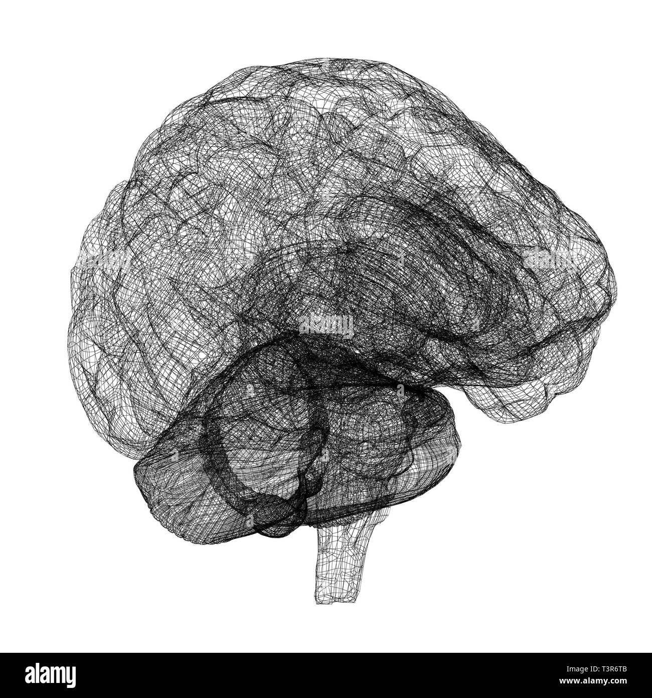 Creative concept of the human brain Stock Photo - Alamy