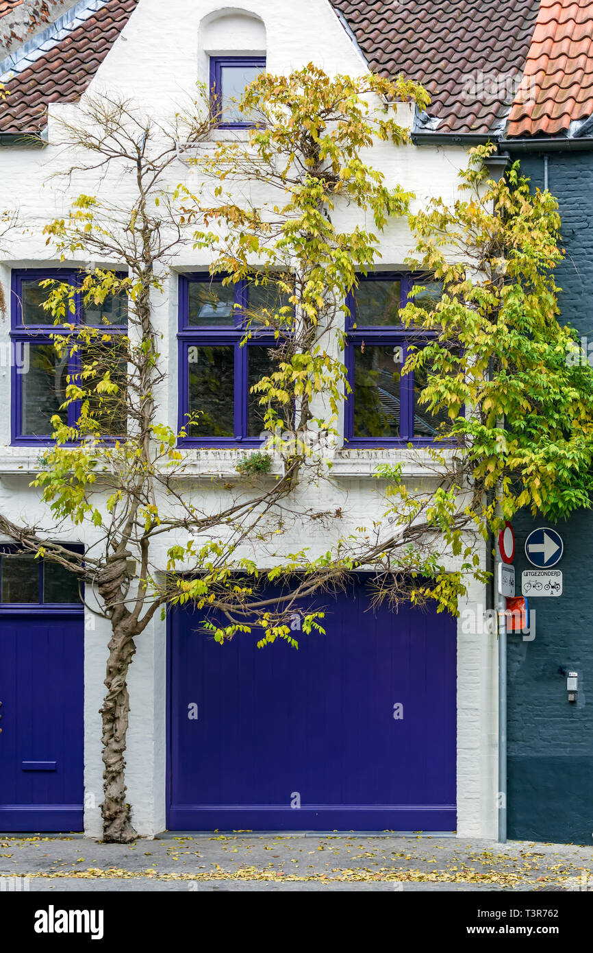 Navy blue door hi-res stock photography and images - Alamy