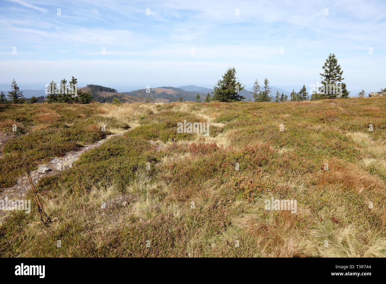 Arber / Arber Stock Photo - Alamy