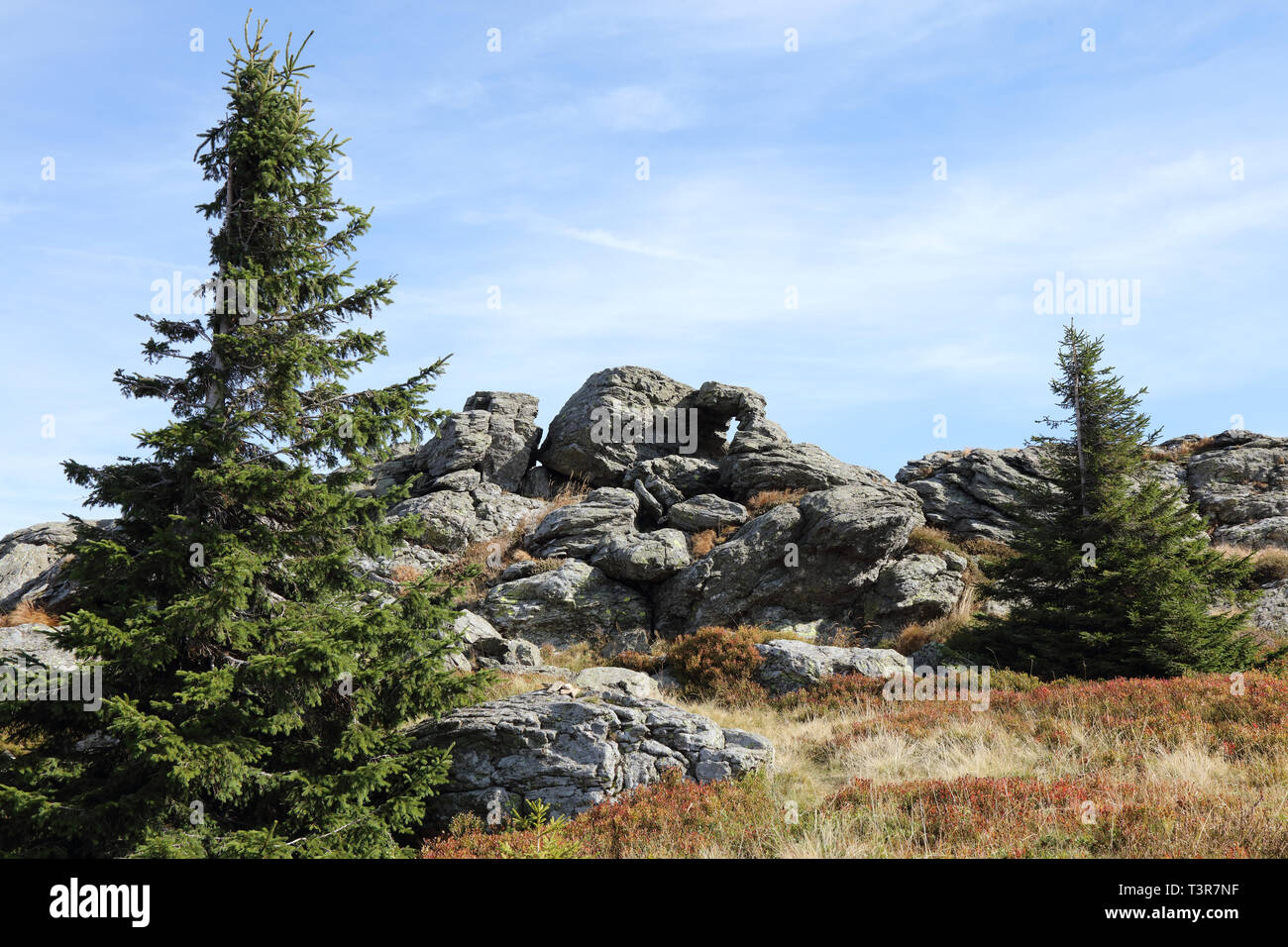 Arber / Arber Stock Photo - Alamy