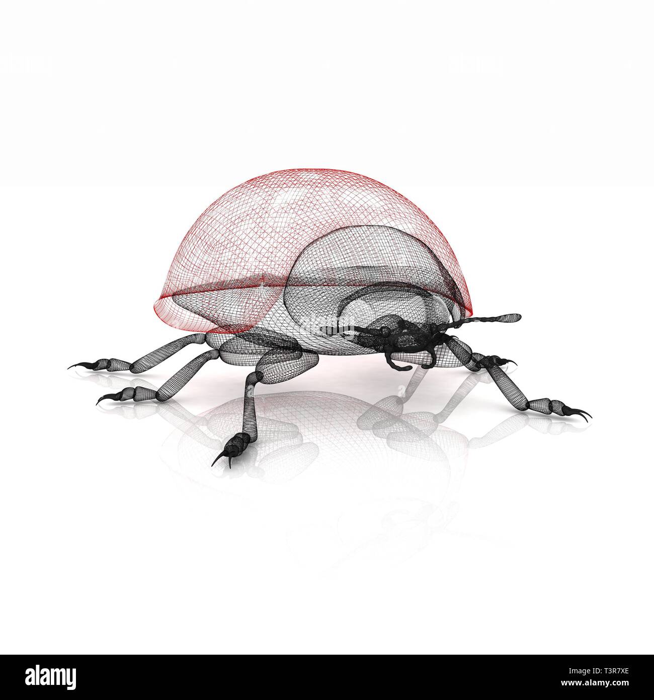 Ladybird on a white background. 3D illustration Stock Photo - Alamy